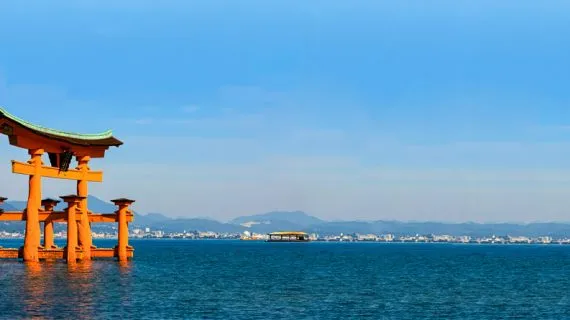 Program Results - AFS-USA