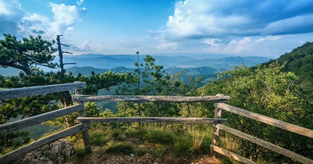 Serbian Culture: Exploring the Country and Culture of Serbia | AFS-USA