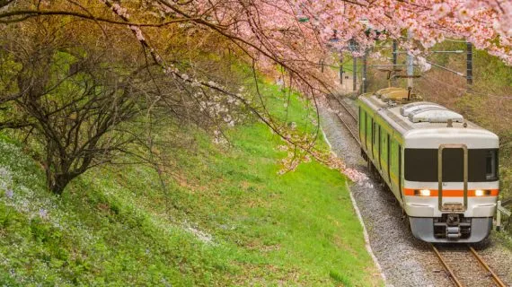 Program Results - AFS-USA