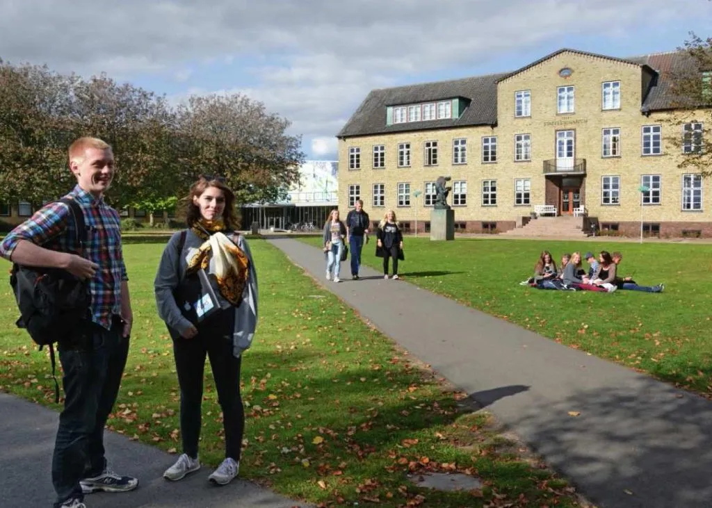 Summer Study Abroad in Denmark - 4-week College Program - AFS-USA