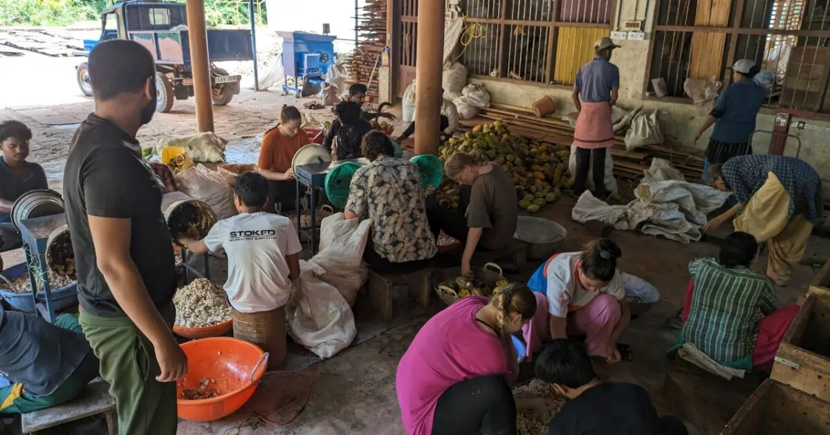 Indien: Varanasi Farm Sector 2 Saravu (Umwelt) | AFS Interkulturelle ...