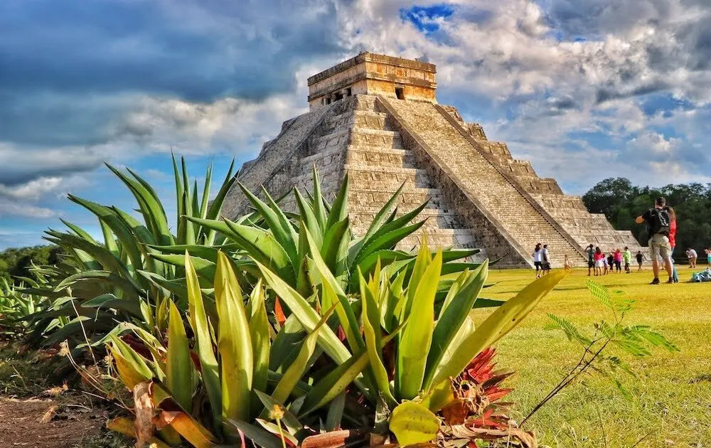 Mexico - New Zealand