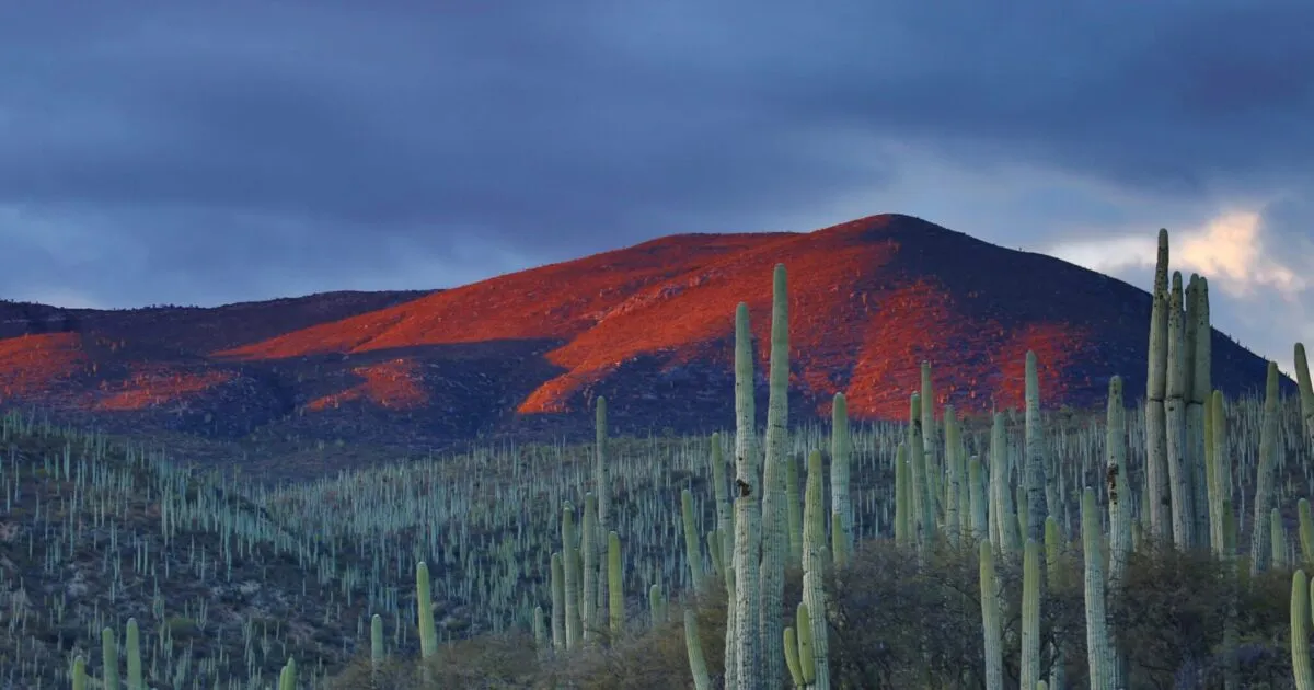 High School in Mexico - Canada