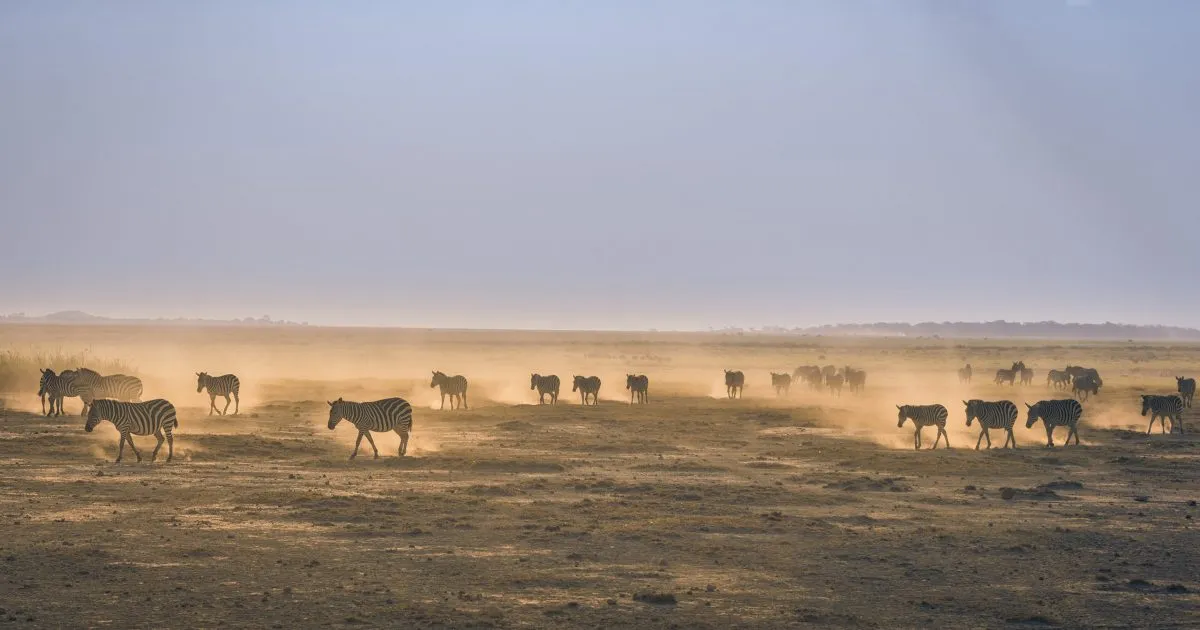 Kenya: Exploring Kenyan Culture | AFS-USA